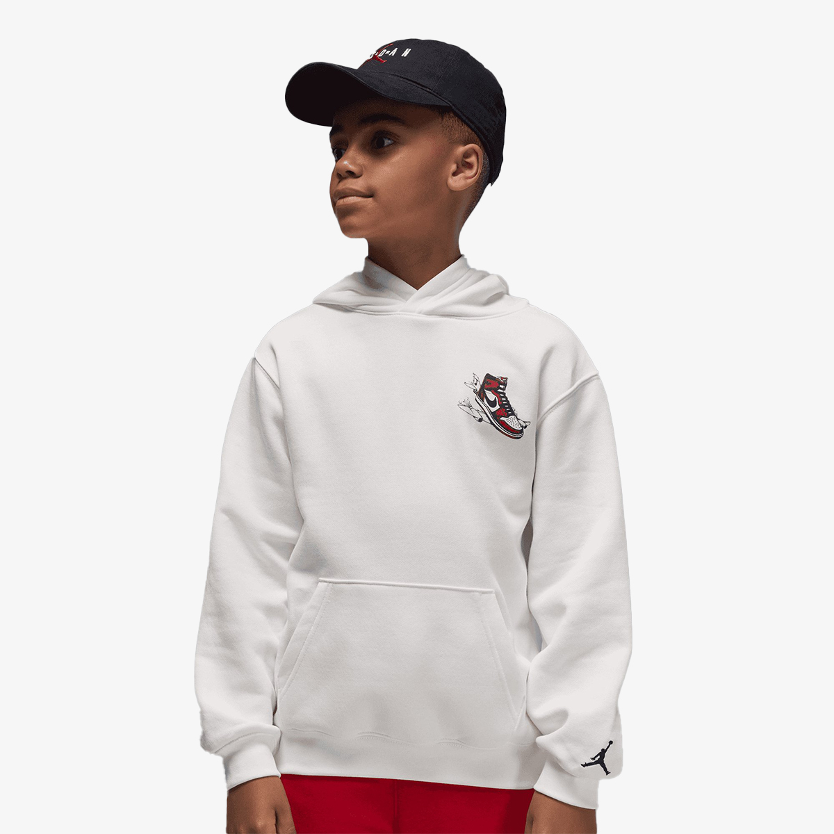 Nike Дуксер Air Jordan Has Landed | Buzz - Online Shop